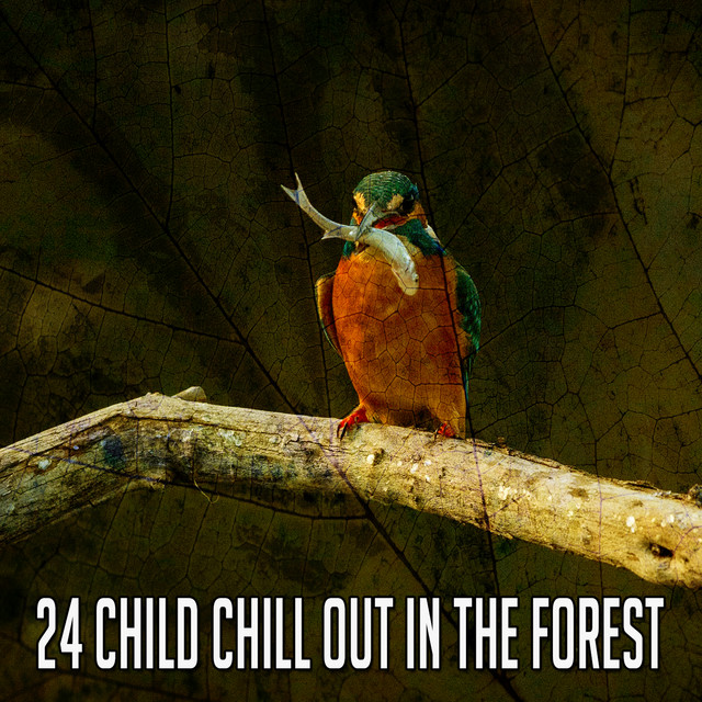 24 Child Chill Out In The Forest - Album by Animal and Bird Songs | Spotify