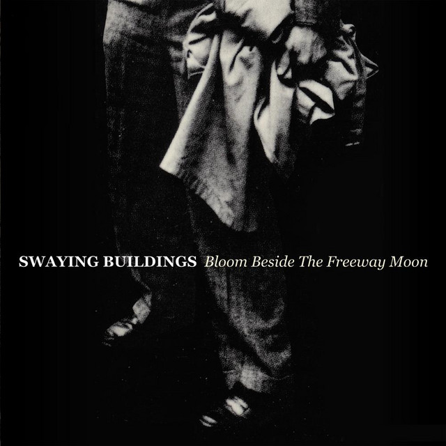 Swaying Buildings Concert & Tour History | Concert Archives