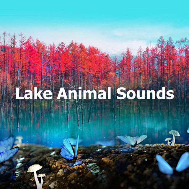 Lake Animal Sounds - Album by Nature Sounds & Backgrounds | Spotify