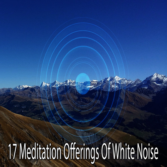 17 Meditation Offerings Of White Noise - Album by White Noise Research ...