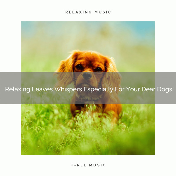 Relaxing Leaves Whispers Especially For Your Dear Dogs - Album by Pets ...