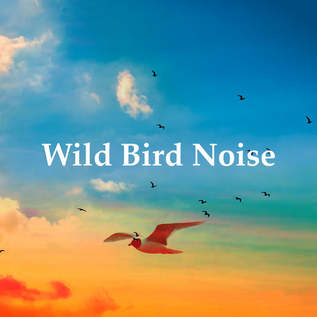 Wild Bird Noise - Album by Sound of the Wilderness | Spotify