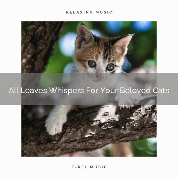 All Leaves Whispers For Your Beloved Cats - EP by Cats Music Cradle ...