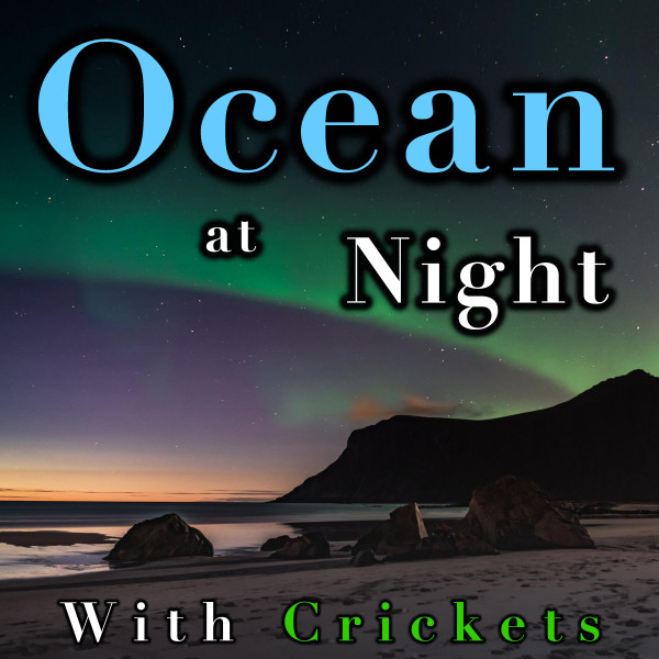 Ocean at Night, With Crickets - Single by Water Nature Society | Spotify