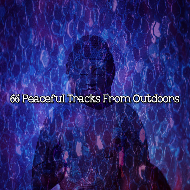 66 Peaceful Tracks From Outdoors - Album by Meditation Spa | Spotify