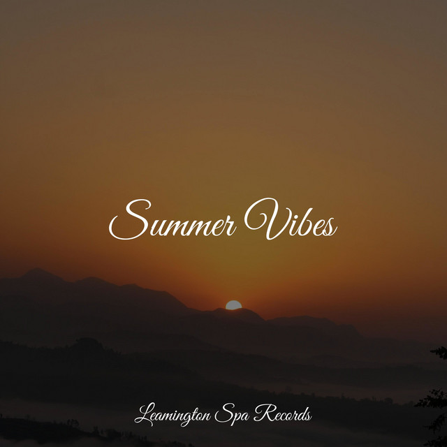 Summer Vibes - Album by Deep Sleep | Spotify