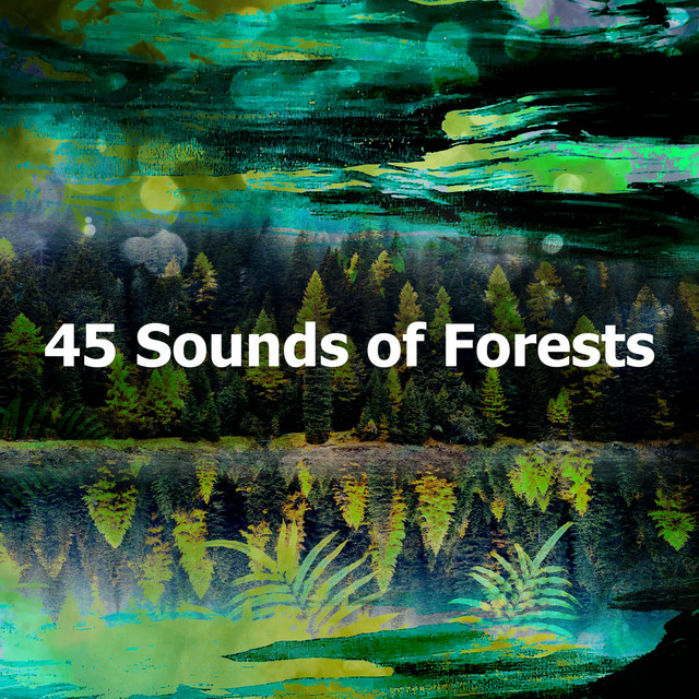 45 Sounds of Forests - Album by Natural Forest Sounds | Spotify