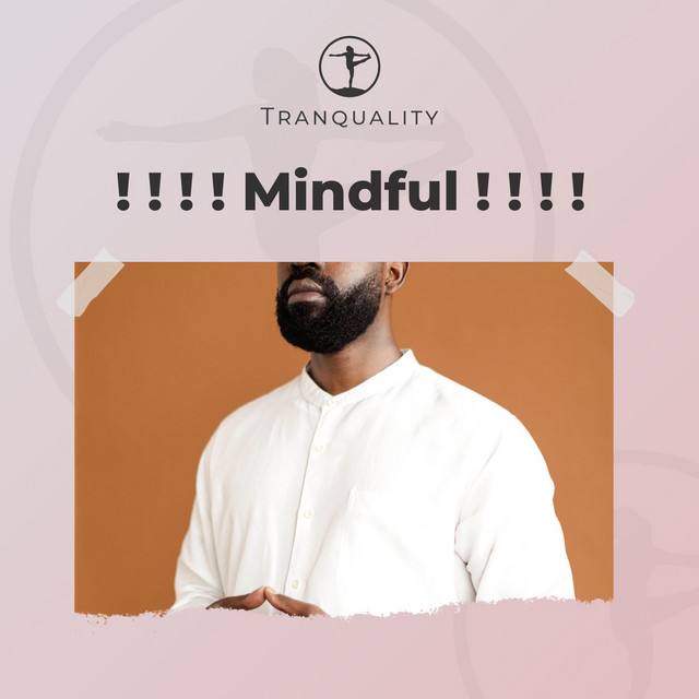 Mindful ! ! ! ! - Album by Deep Sleep Music Collective | Spotify