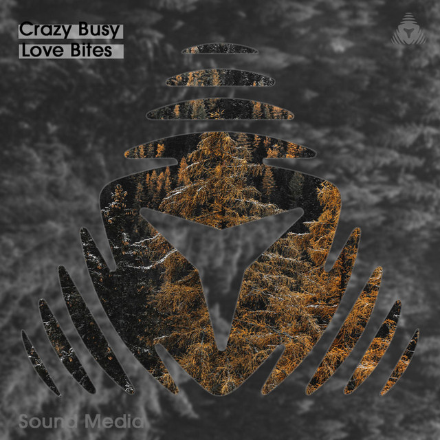Crazy Busy: genres, songs, analysis and similar artists - Chosic