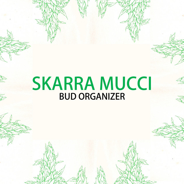 Bud Organizer - Single by Skarra Mucci | Spotify