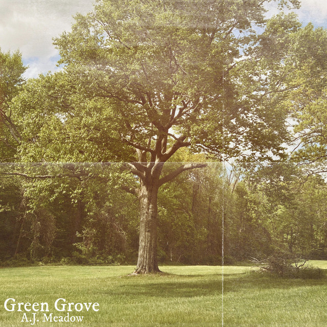 Green Grove - Single by A.J. Meadow | Spotify