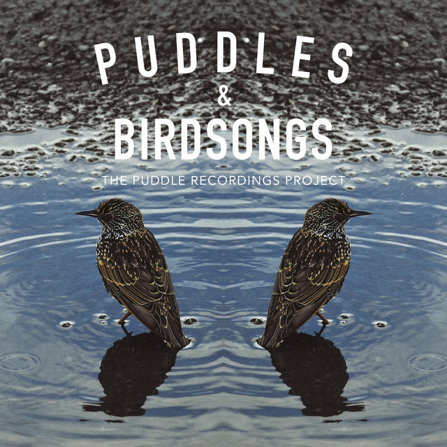 Puddles & Birdsongs - Album by The Puddle Recordings Project | Spotify