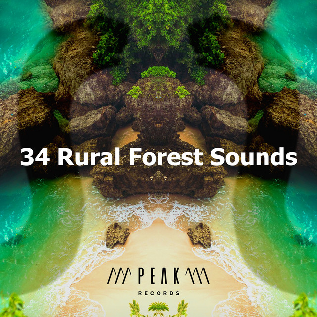 34 Rural Forest Sounds - Album by Nature Sound Collection | Spotify