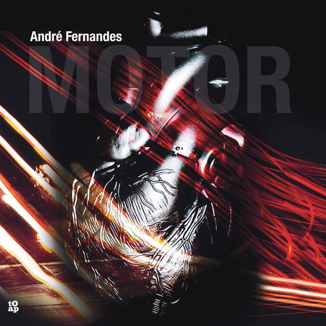 87+ Artists & Bands that Sounds Like André Fernandes