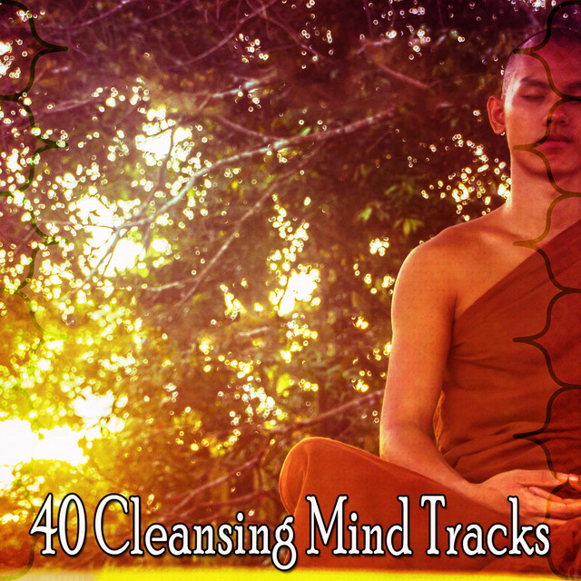 40 Cleansing Mind Tracks - Album by Avslappning Sound | Spotify