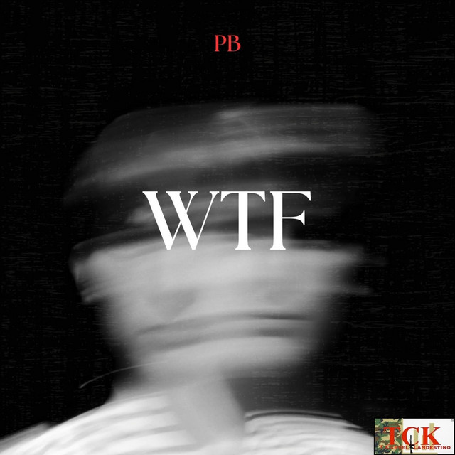 WTF - song and lyrics by PB official | Spotify