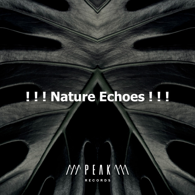Nature Echoes ! ! ! - Album by Sleep Sounds of Nature | Spotify