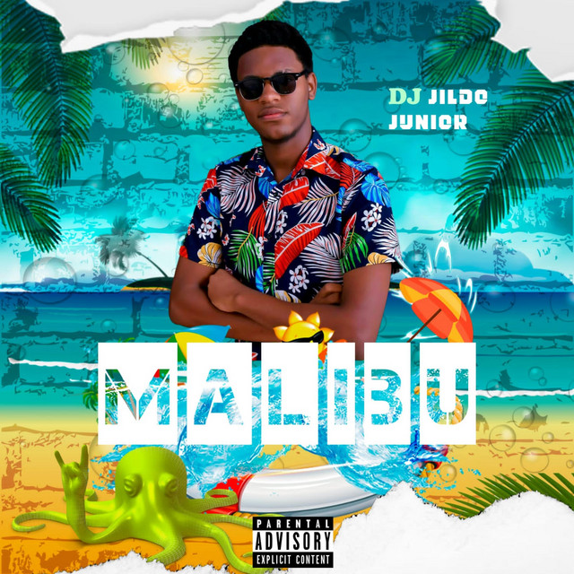Malibu (AfroBeat) - Single by DJ Jildo Júnior | Spotify