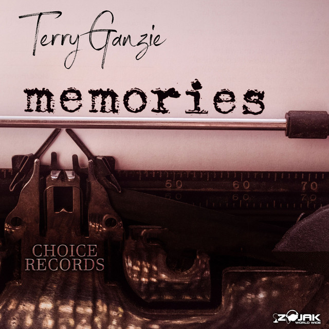 Memories - Single by Terry Ganzie | Spotify
