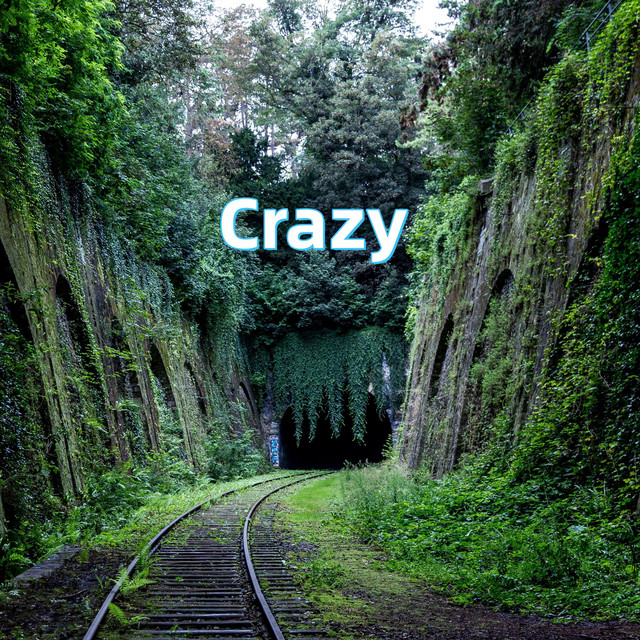Crazy - Album by Wilbur Jane | Spotify