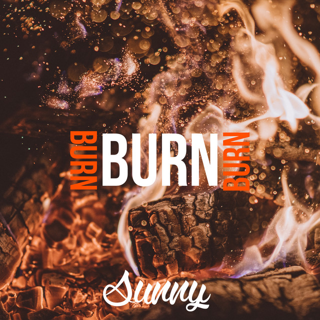 BURN - song and lyrics by Sunny, HXRXKILLER | Spotify