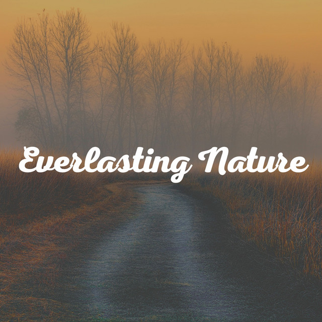 Everlasting Nature, Pt. 9 - song and lyrics by Weather and Nature ...