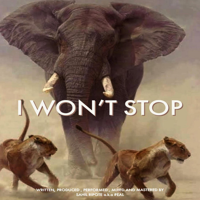 I Won't Stop - song and lyrics by Real | Spotify