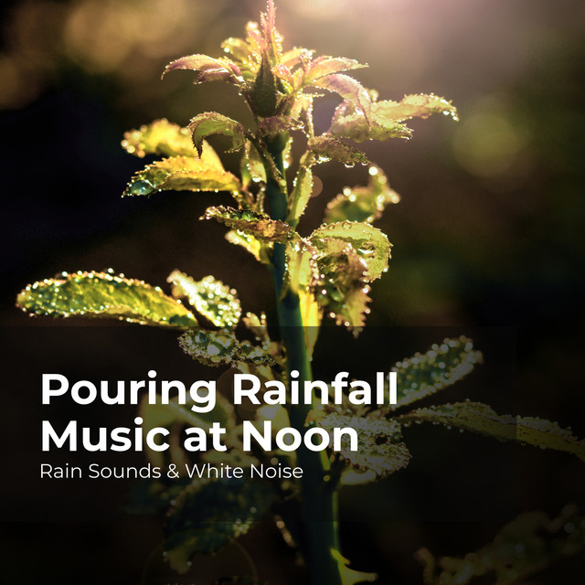 Pouring Rainfall Music at Noon - Album by Rain Sounds & White Noise ...