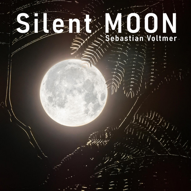Silent MOON – Sencillo de Sebastian Voltmer | Spotify