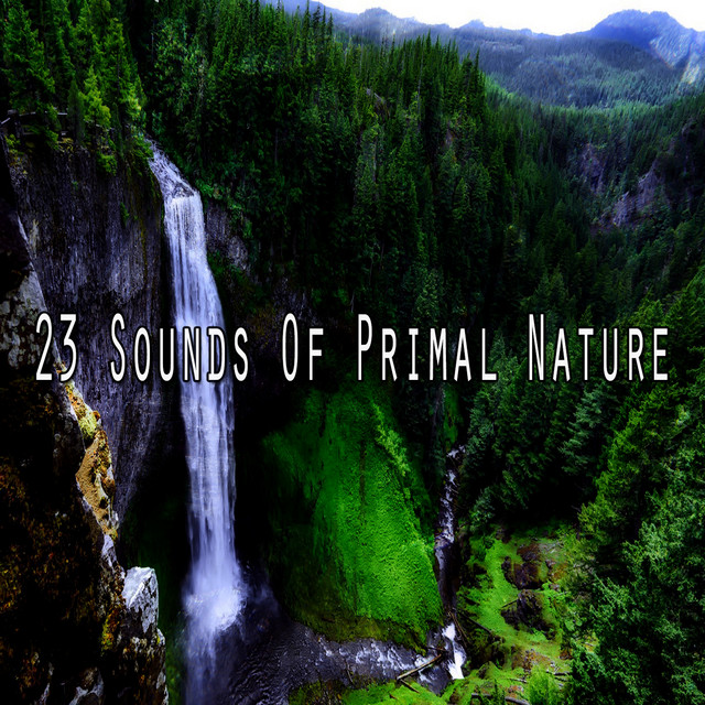 23 Sounds Of Primal Nature - Album by Rest & Relax Nature Sounds ...