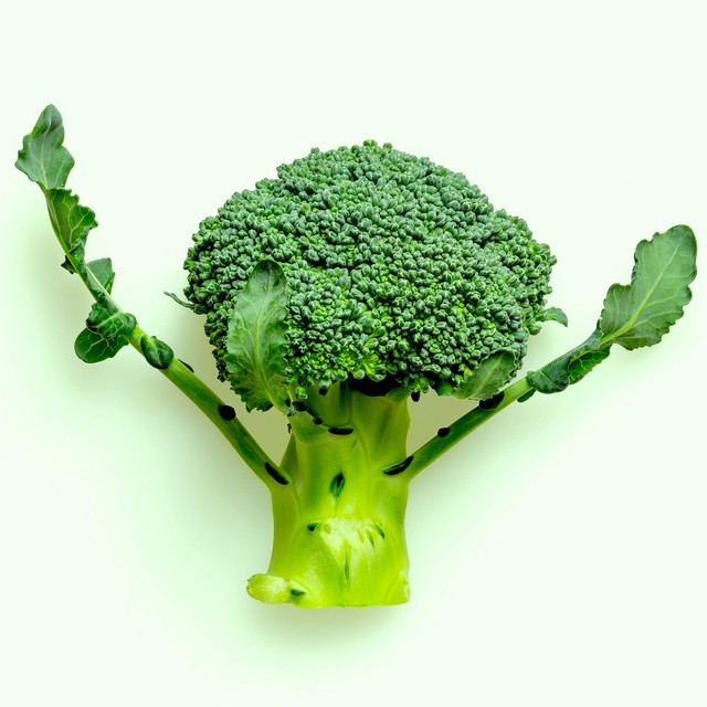 BPM and key for Broccoli On My Plate by The Green Orbs | Tempo for ...