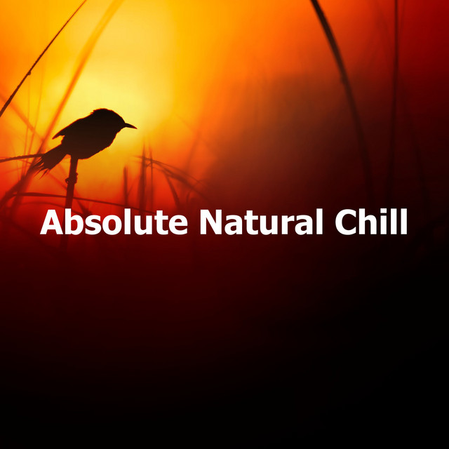 Absolute Natural Chill - Album by Wildlife Bill | Spotify