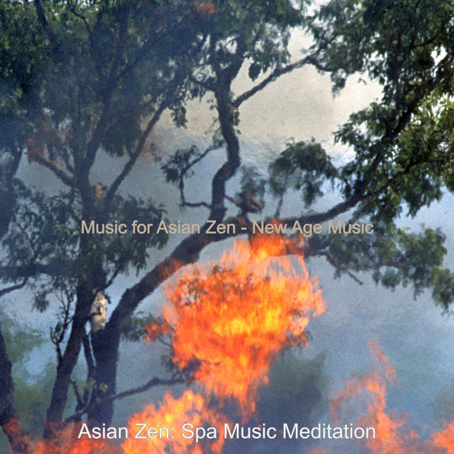 Music for Asian Zen - New Age Music - Album by Asian Zen: Spa Music ...