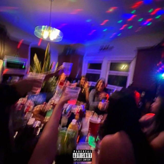 V.I.P - Single by vibezzz | Spotify
