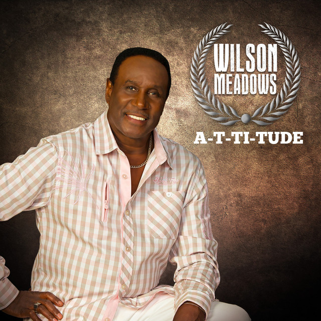 A-T-Ti-Tude - Single by Wilson Meadows | Spotify