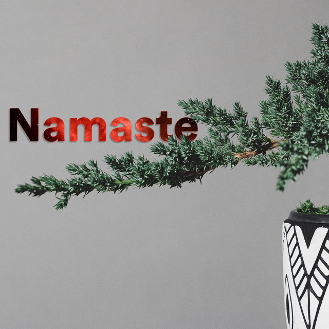 Namaste - Album by Therapy Music Sanctuary | Spotify