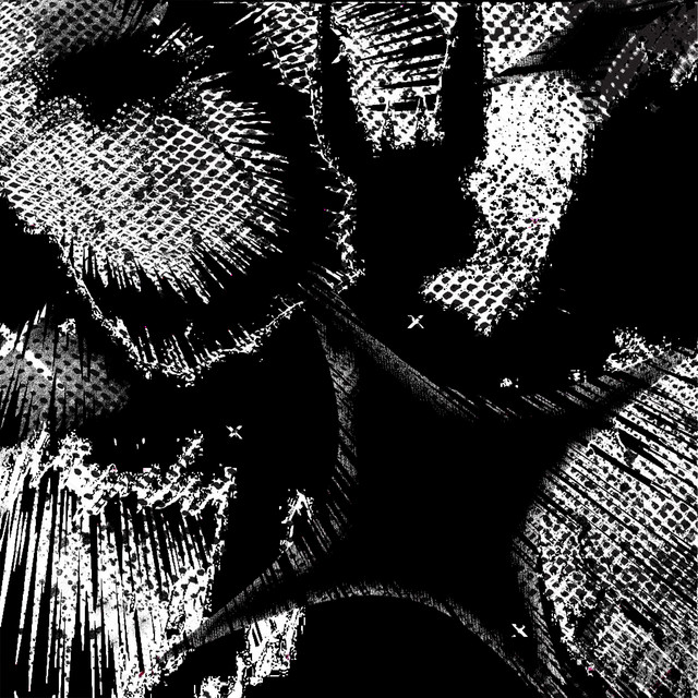 XXXSWW | Spotify