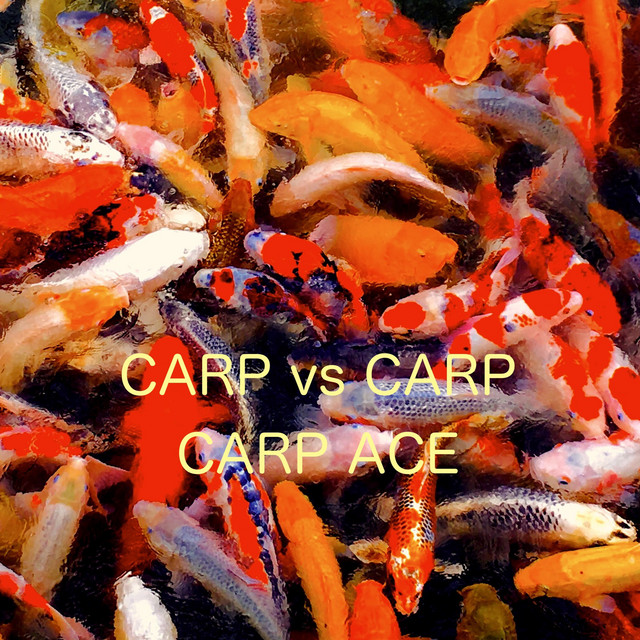 Carp Ace | Spotify