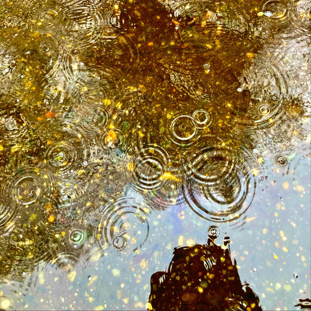 Tea and Tide Pools - Single by James Whetzel | Spotify