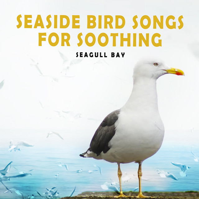 Seaside Bird Songs for Soothing - Album by Seagull Bay | Spotify