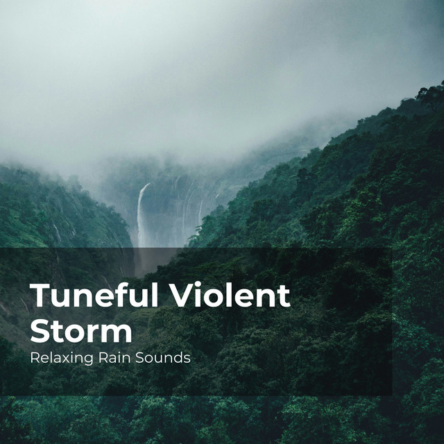 Tuneful Violent Storm - Album by Relaxing Rain Sounds | Spotify