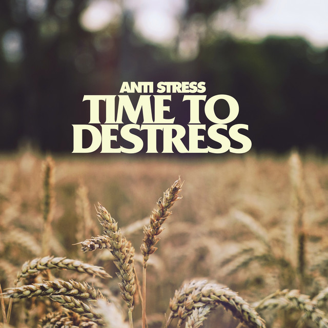 Time to Destress - Album by Anti Stress | Spotify