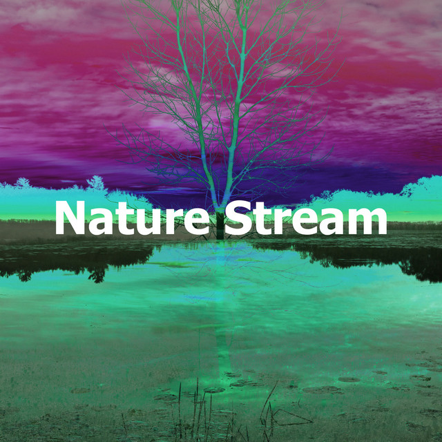 Nature Stream - Album by Nature Radiance | Spotify