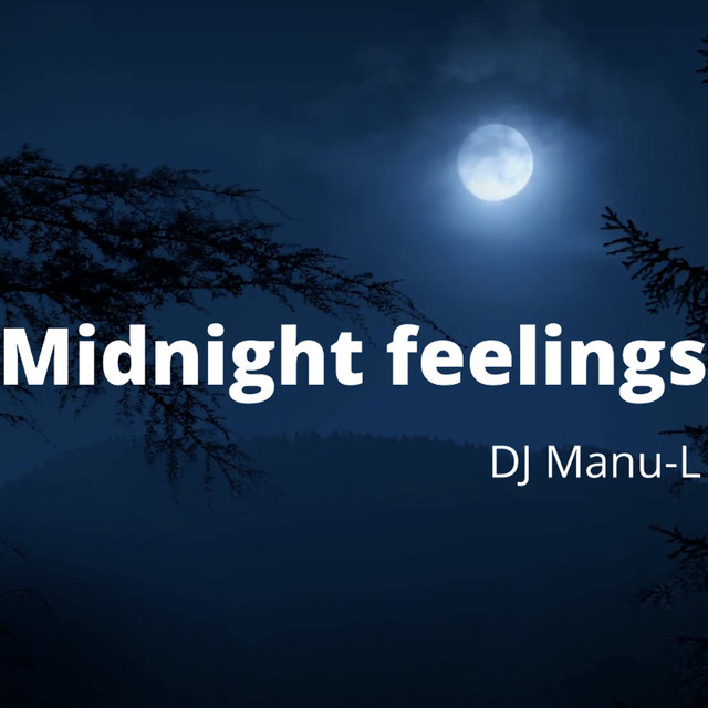Midnight Feelings - Single by Dj Manu-L | Spotify