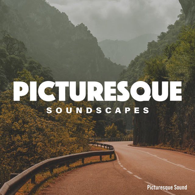 Picturesque Soundscapes - Album by Picturesque Sound | Spotify
