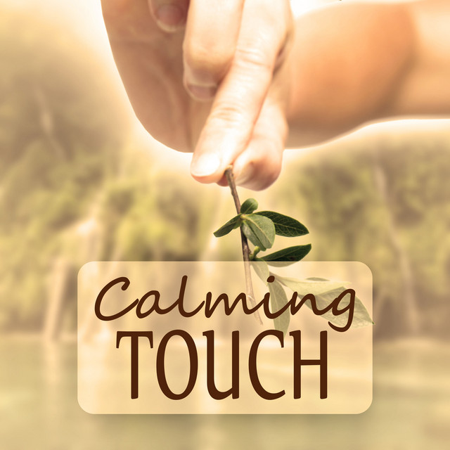 Calming Touch - Massage Therapy, Pure Massage Music, Spa Music, Cure ...