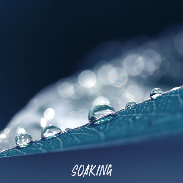 Soaking " ! ! ! ! ! ! ! ! ! - Album by Rain Sounds | Spotify