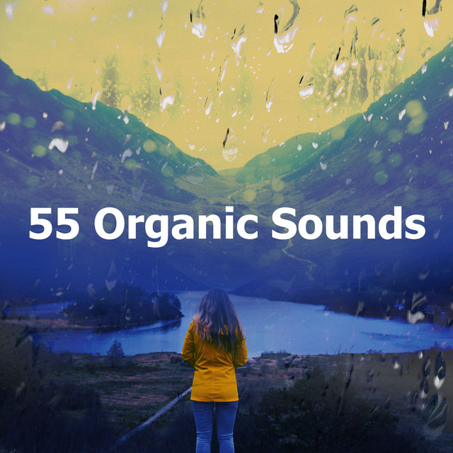 55 Organic Sounds - Album by Nature and Rain | Spotify