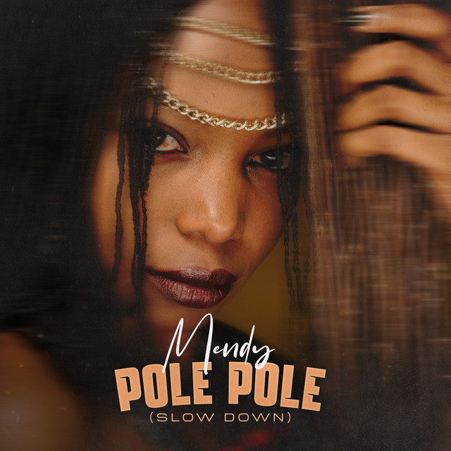 Pole Pole (Slow Down) - Single by Mendy | Spotify
