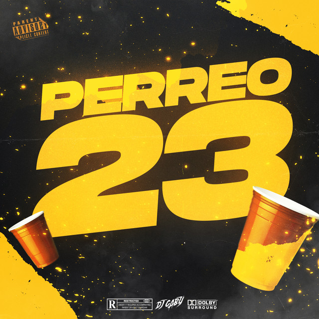 Perreo 23 (Remix) - Single by Dj Gaby | Spotify